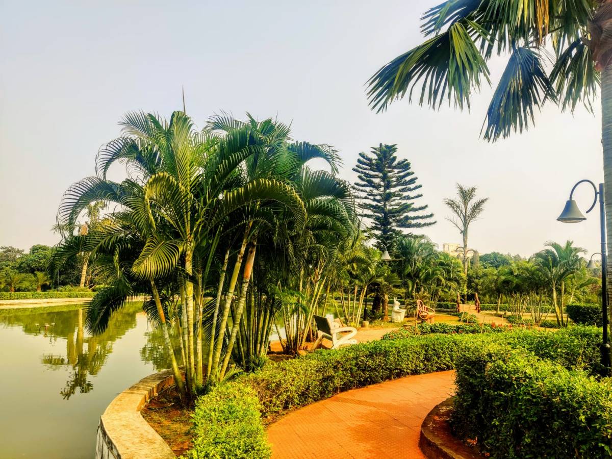 The Chair by the Lake – Dr Ramakanta's Ideas