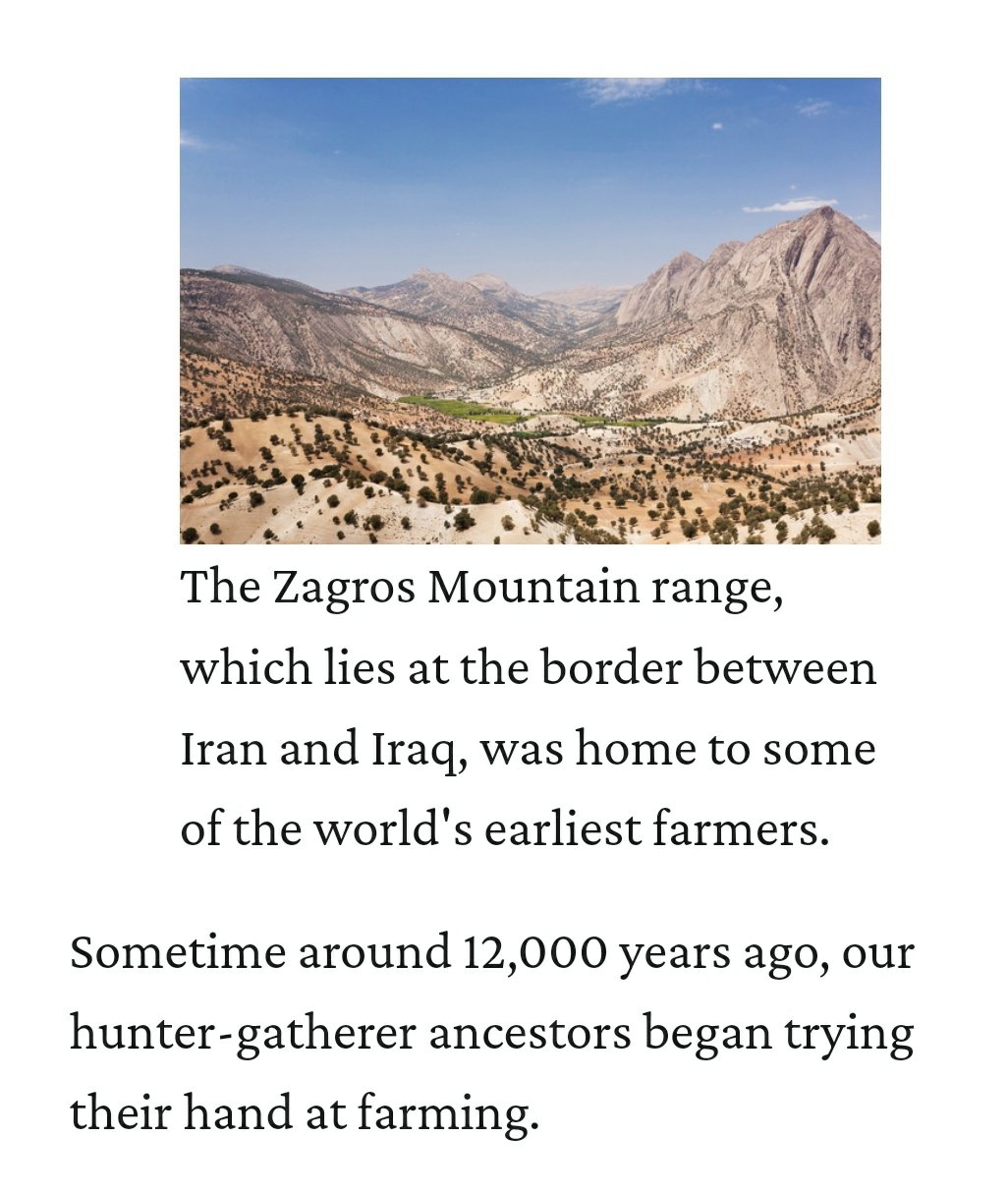 The Story of Pandemics – Dr Ramakanta's Ideas